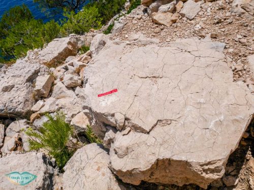 A day in Calanques National Park - Laugh Travel Eat