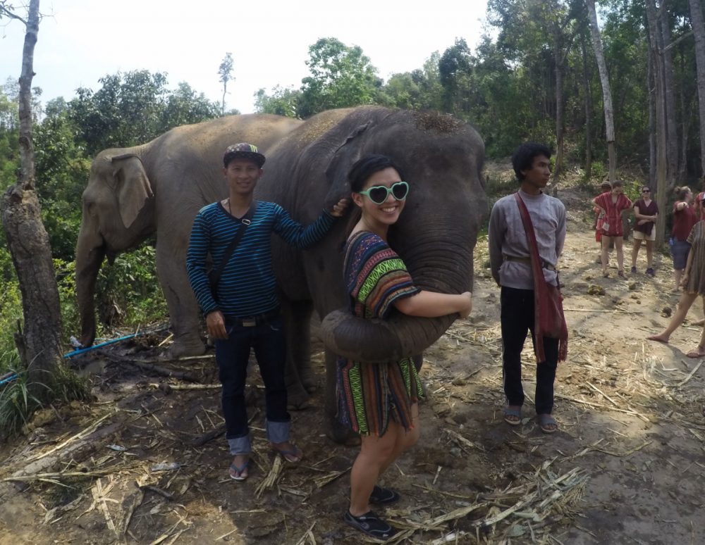 Elephant chasing in Chiang Mai – Elephant Jungle Sanctuary Review ...