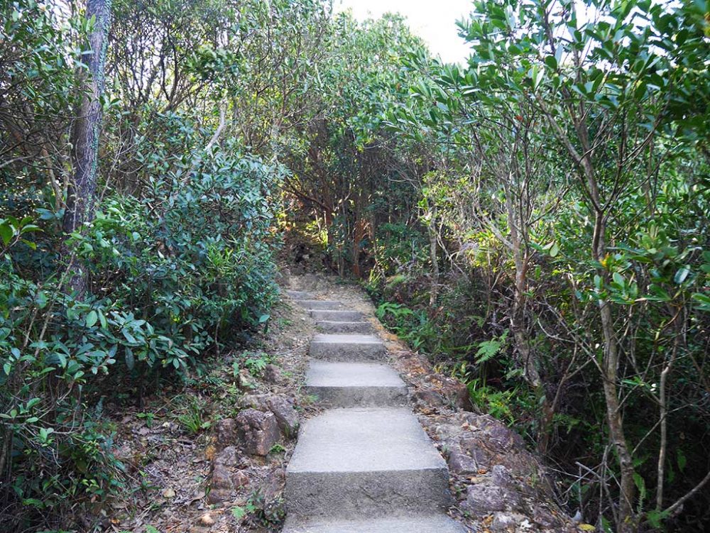West High Hill – an adventurous alternative to the Peak - Laugh Travel Eat
