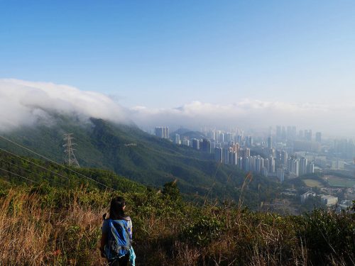 Hiking Tsz Wan Shan: the most underrated view of Kowloon - Laugh Travel Eat