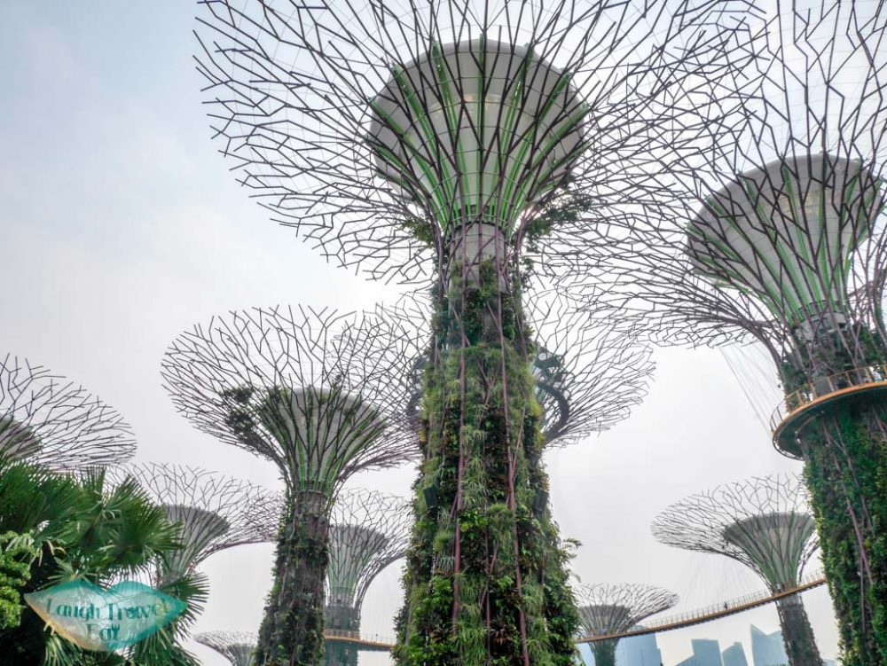 An in depth guide of the best places to visit in Singapore in 3 days ...