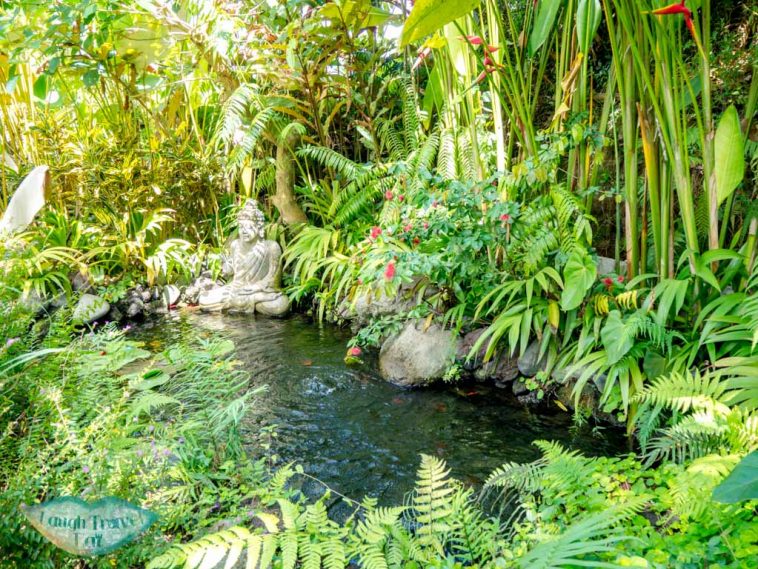 Bali Glamping: an eco stay near Ubud with Sebatu Sanctuary - Laugh ...