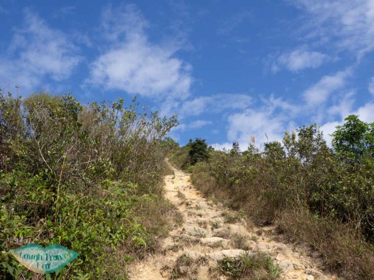 Tai To Yan: a Hong Kong razor ridge hike - Laugh Travel Eat