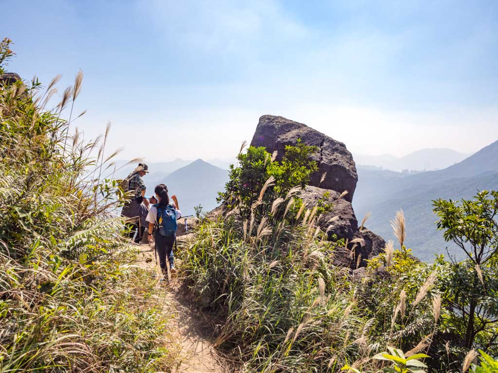 Buffalo Hills: hike up rocky outcrops and silver grass in Hong Kong ...