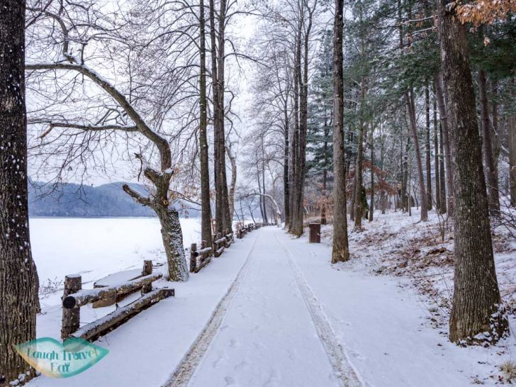 Nami Island Winter: what to do on a day trip and MORE - Laugh Travel Eat
