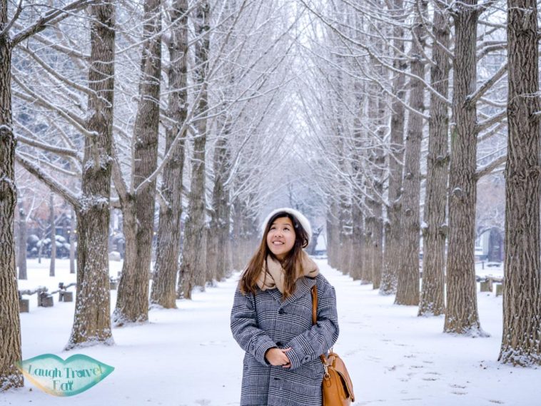 Nami Island Winter: what to do on a day trip and MORE - Laugh Travel Eat