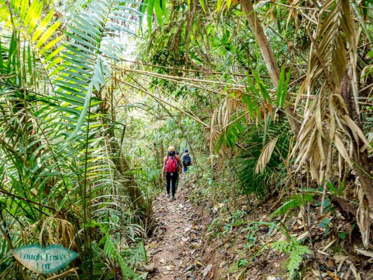 Laos trekking: 2 day adventure in Nam Ha National Park - Laugh Travel Eat