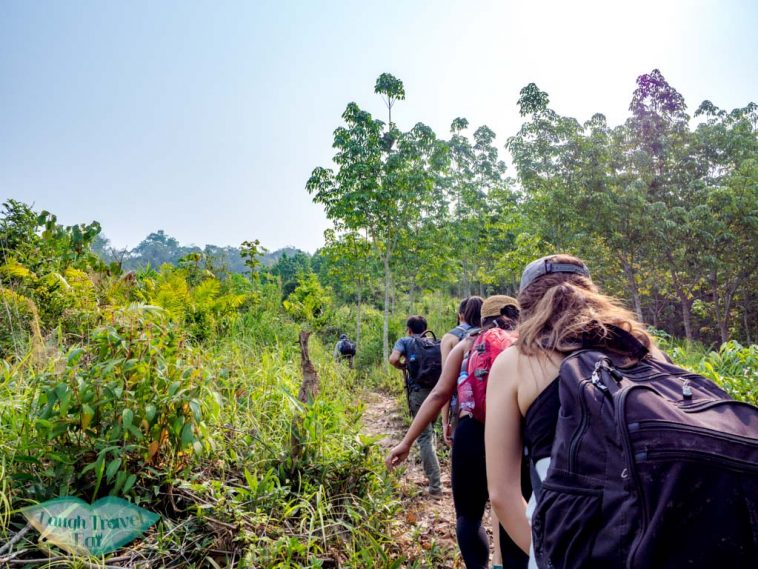 Laos trekking: 2 day adventure in Nam Ha National Park - Laugh Travel Eat