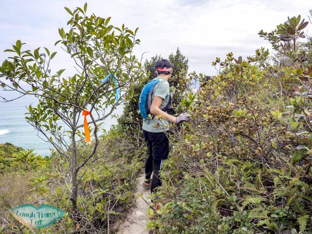 Sharp Peak: conquering one of Hong Kong's toughest trails - Laugh ...