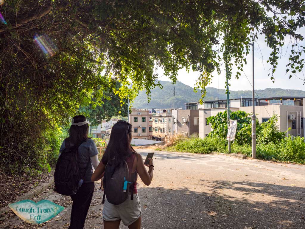 Tsing Tam Reservoir and Ho Pui Reservoir: an easy hike - Laugh Travel Eat