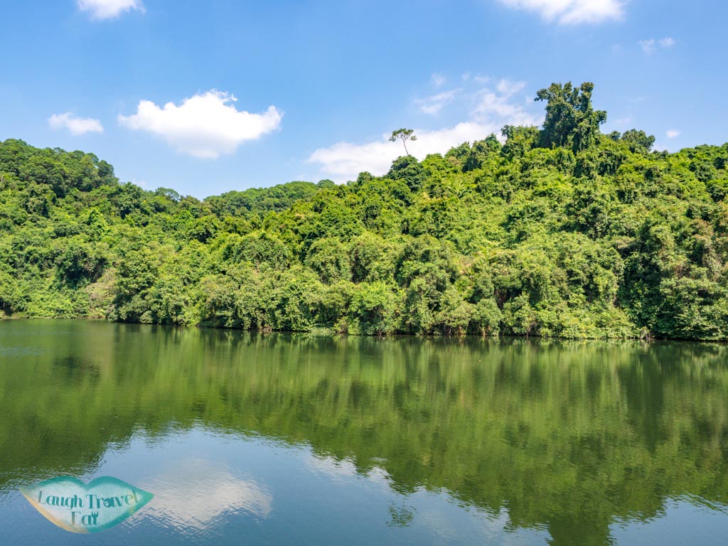 Tsing Tam Reservoir and Ho Pui Reservoir: an easy hike - Laugh Travel Eat