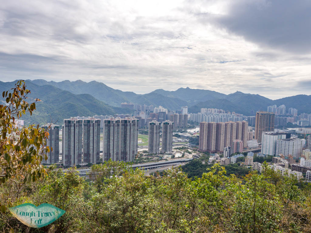 Kau To Shan: the hidden hike in Fo Tan - Laugh Travel Eat