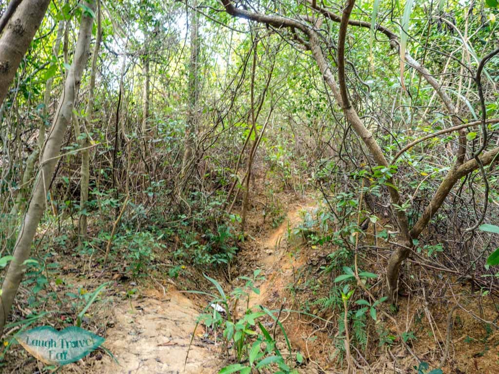 Kau To Shan: the hidden hike in Fo Tan - Laugh Travel Eat