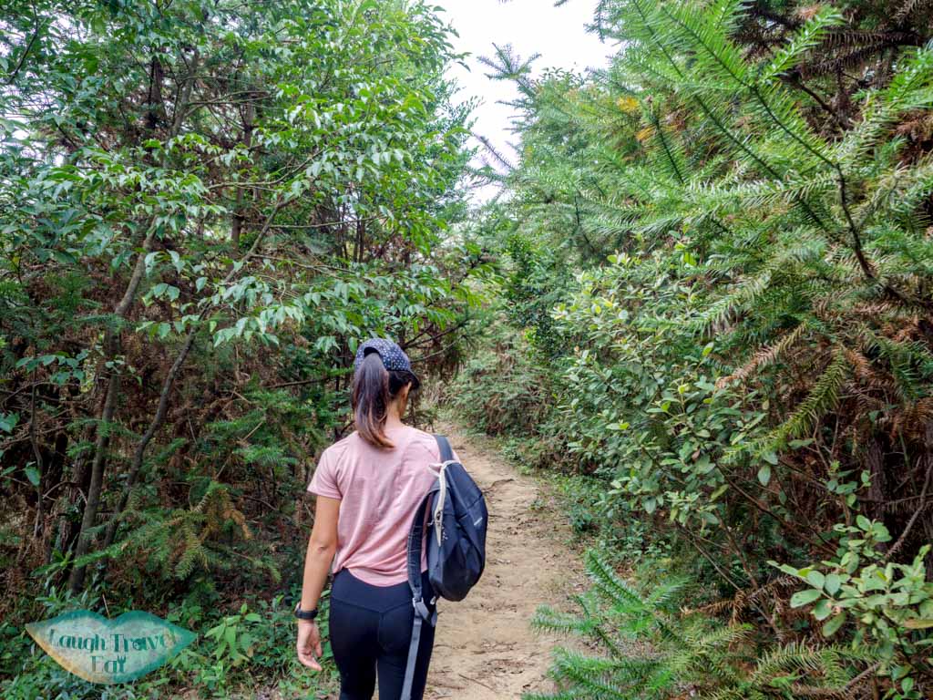 Kau To Shan: the hidden hike in Fo Tan - Laugh Travel Eat