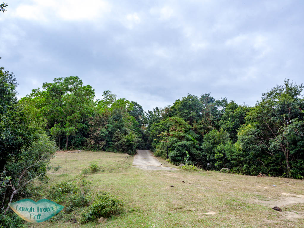 Kau To Shan: the hidden hike in Fo Tan - Laugh Travel Eat