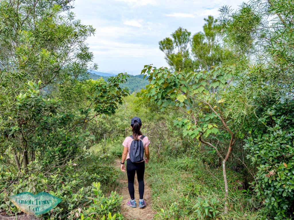 Kau To Shan: the hidden hike in Fo Tan - Laugh Travel Eat