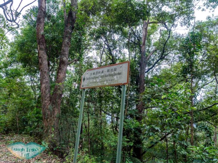 Kau To Shan: the hidden hike in Fo Tan - Laugh Travel Eat