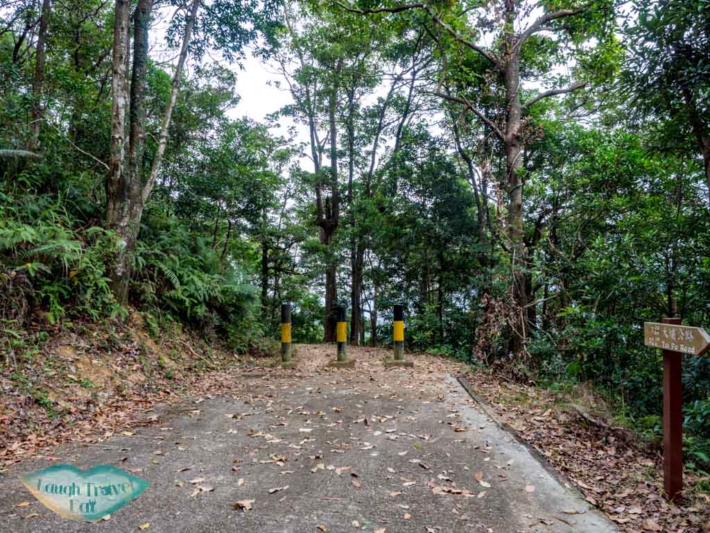 Kau To Shan: the hidden hike in Fo Tan - Laugh Travel Eat