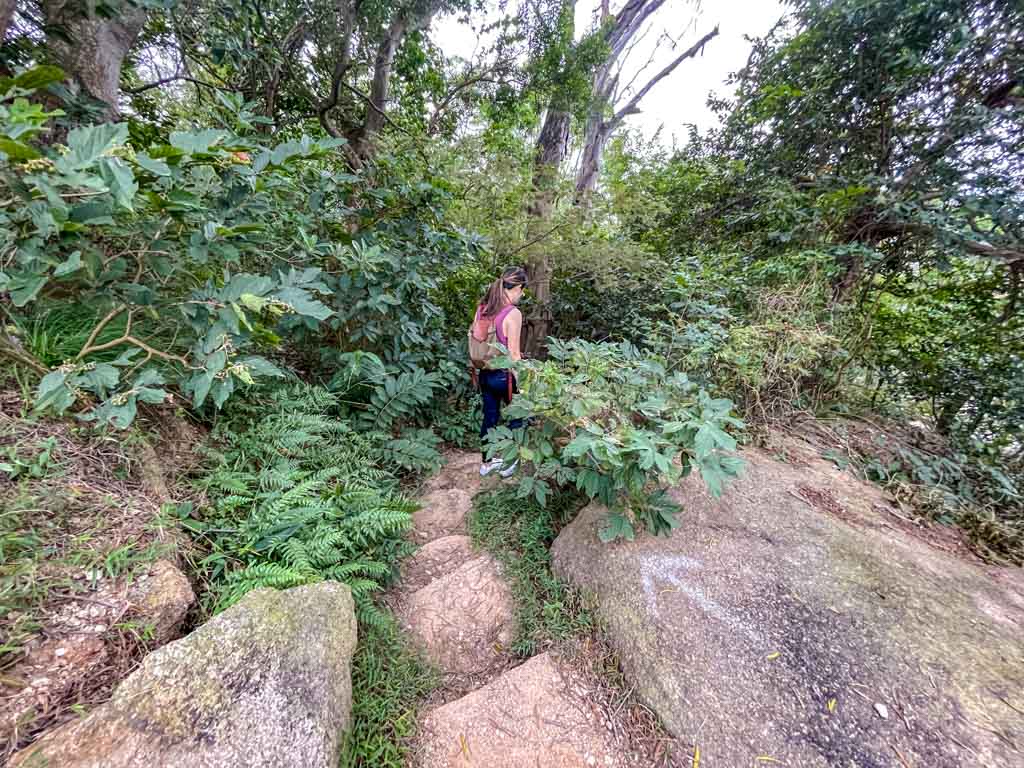 Checkerboard Hill | a hidden Kowloon hike