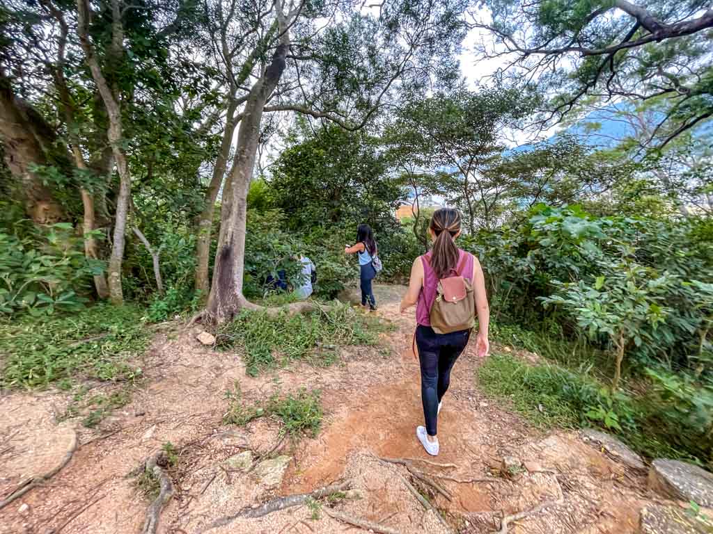 Checkerboard Hill | a hidden Kowloon hike