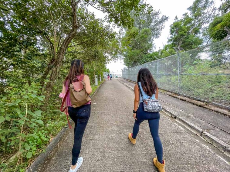 Checkerboard Hill: a Hidden Kowloon hike - Laugh Travel Eat