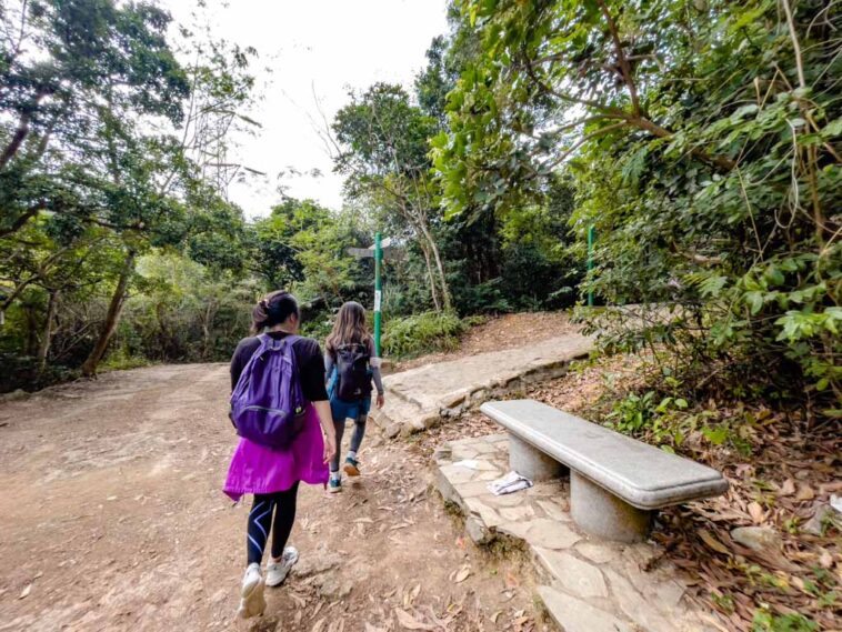 Little Hawaii Trail: easy waterfall hike with tropical vibes - Laugh ...