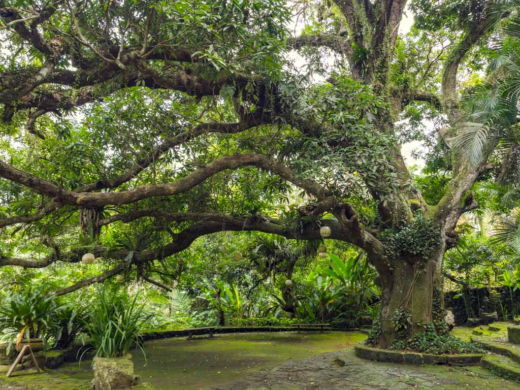 The Farm at San Benito: The Best Eco-Luxury Medical Wellness Resort in ...