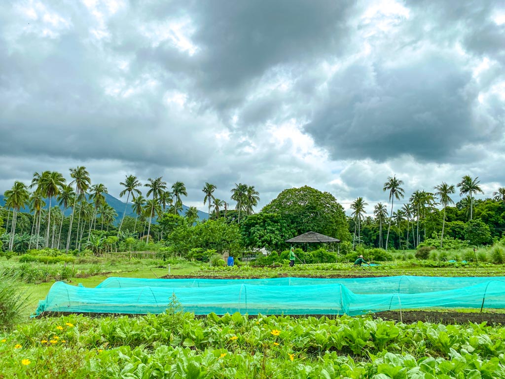 The Farm at San Benito: The Best Eco-Luxury Medical Wellness Resort in ...