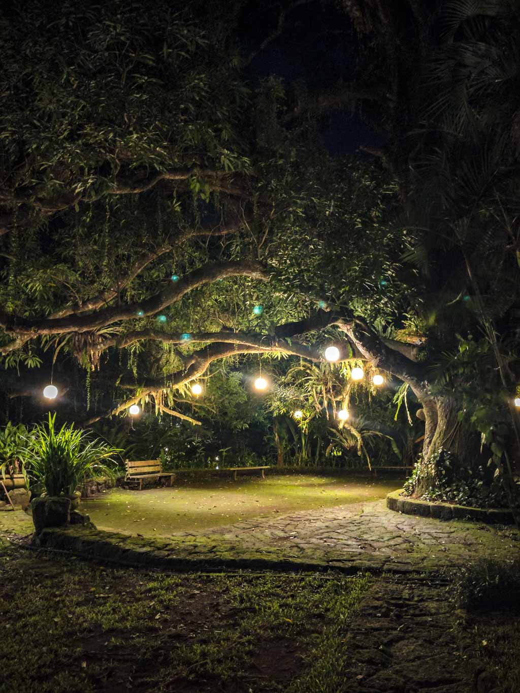 The Farm at San Benito: The Best Eco-Luxury Medical Wellness Resort in ...